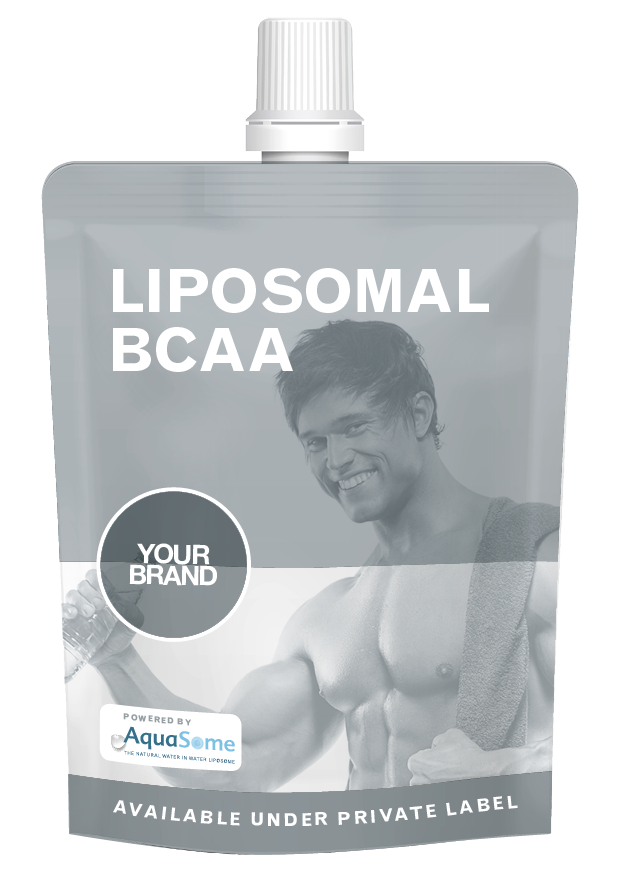 Liposomes - Schmid Pharma